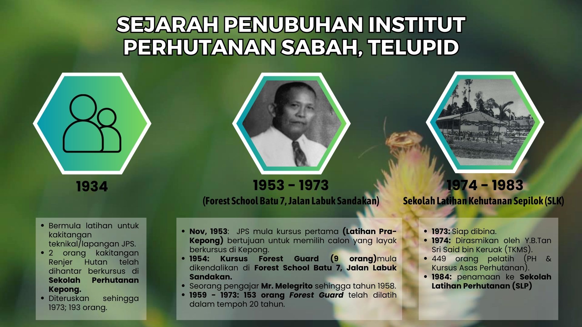 INSTITUT PERHUTANAN SABAH TELUPID