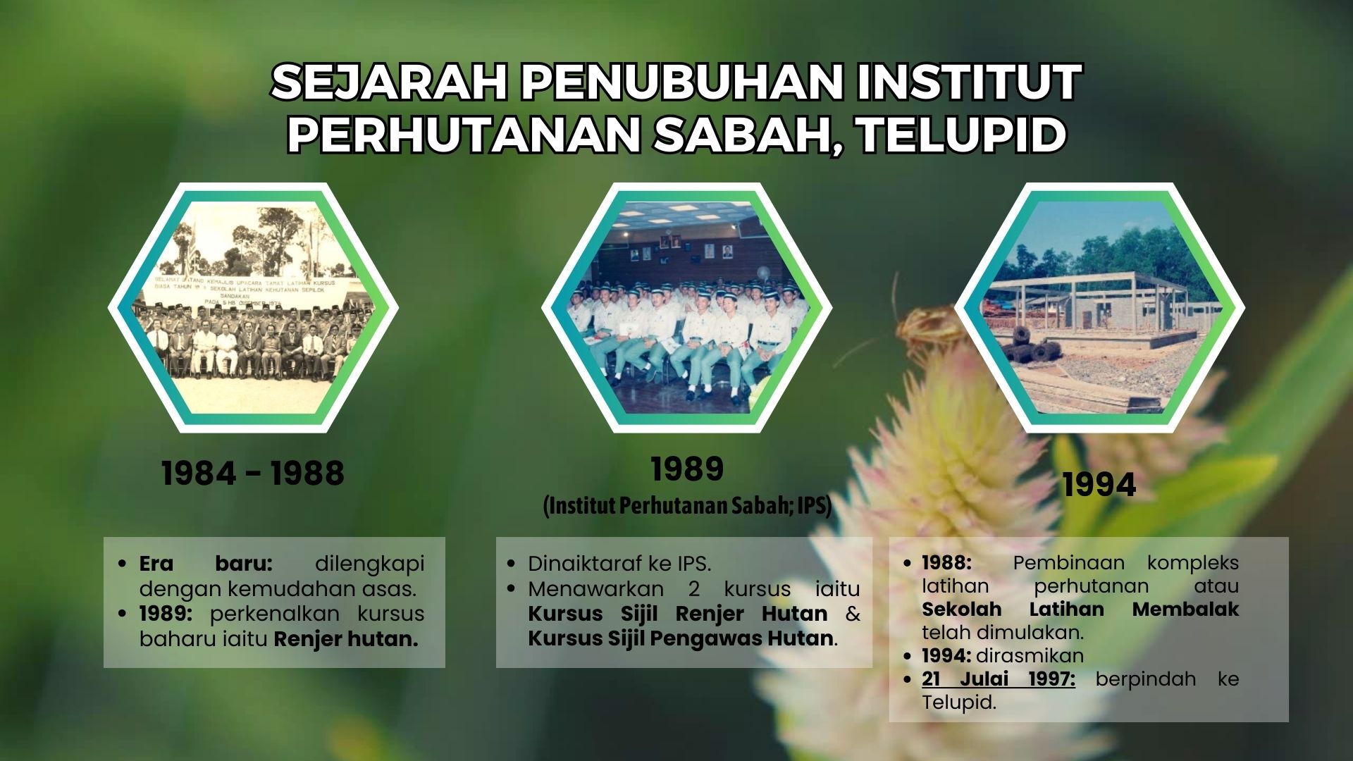 INSTITUT PERHUTANAN SABAH TELUPID