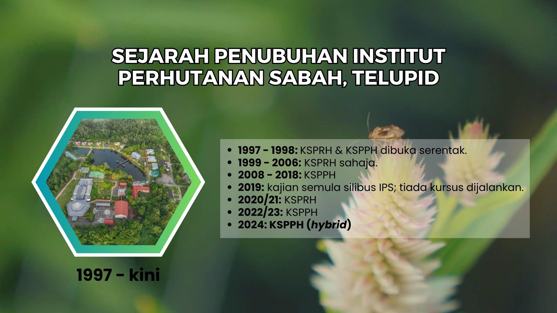 INSTITUT PERHUTANAN SABAH TELUPID